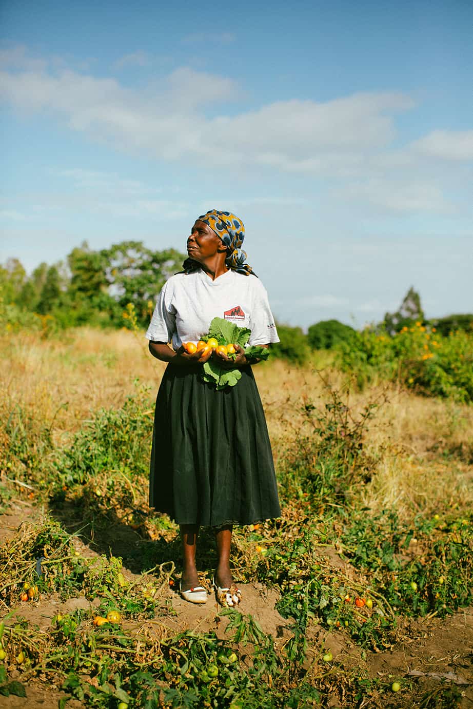 The Adventure Project Wants To End Global Poverty By Creating Jobs ...