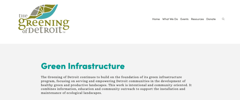 14 Important Detroit Nonprofits Transforming the Community | Charity Charge