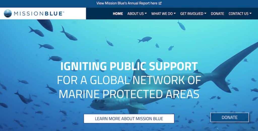 15 Inspiring Ocean Conservation Charities | Charity Charge