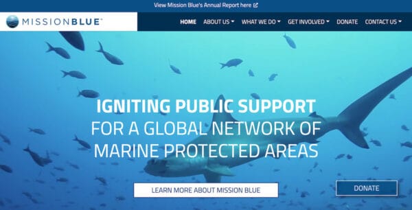 15 Inspiring Ocean Conservation Charities | Charity Charge