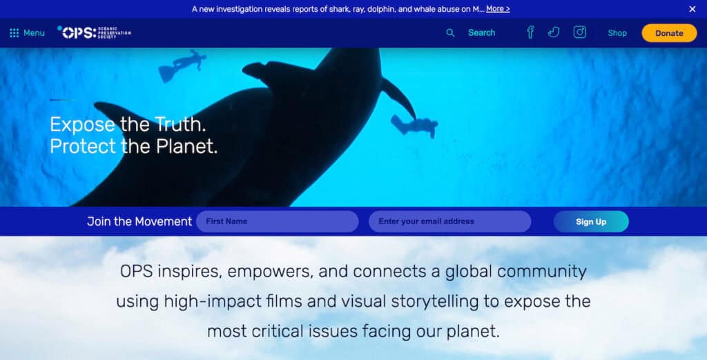 15 Inspiring Ocean Conservation Charities | Charity Charge