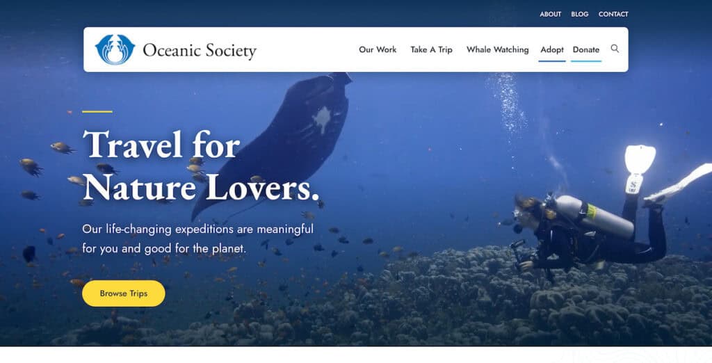 15 Inspiring Ocean Conservation Charities | Charity Charge