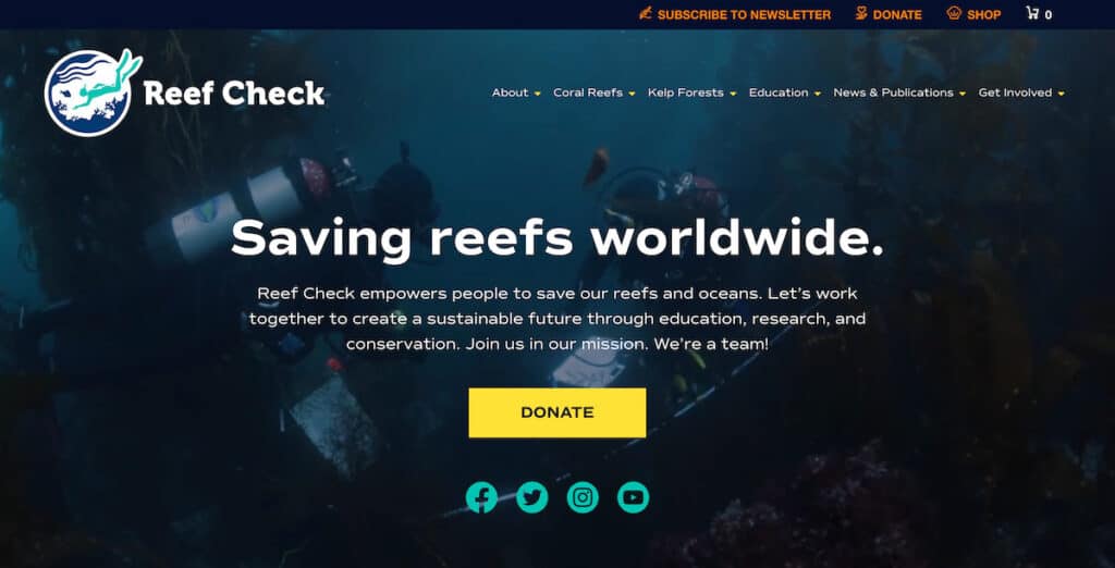 15 Inspiring Ocean Conservation Charities | Charity Charge