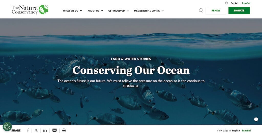 15 Inspiring Ocean Conservation Charities | Charity Charge